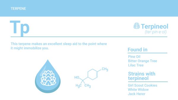 What is Terpineol? Benefits, Uses and Effects | Finest Labs