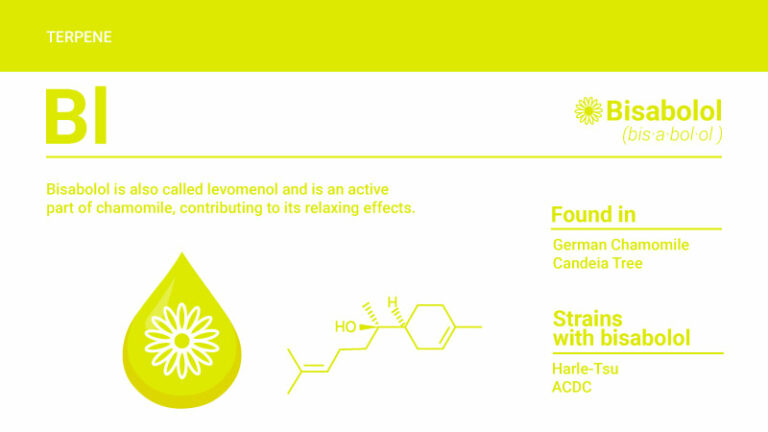 Bisabolol Terpene: Usage, Effects & Benefits - Finest Labs