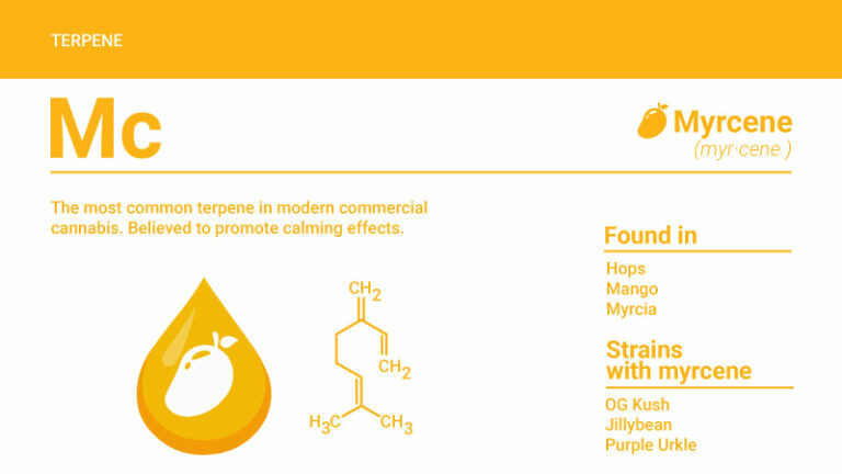 What is Myrcene? Benefits & Effects of This Cannabis Terpene
